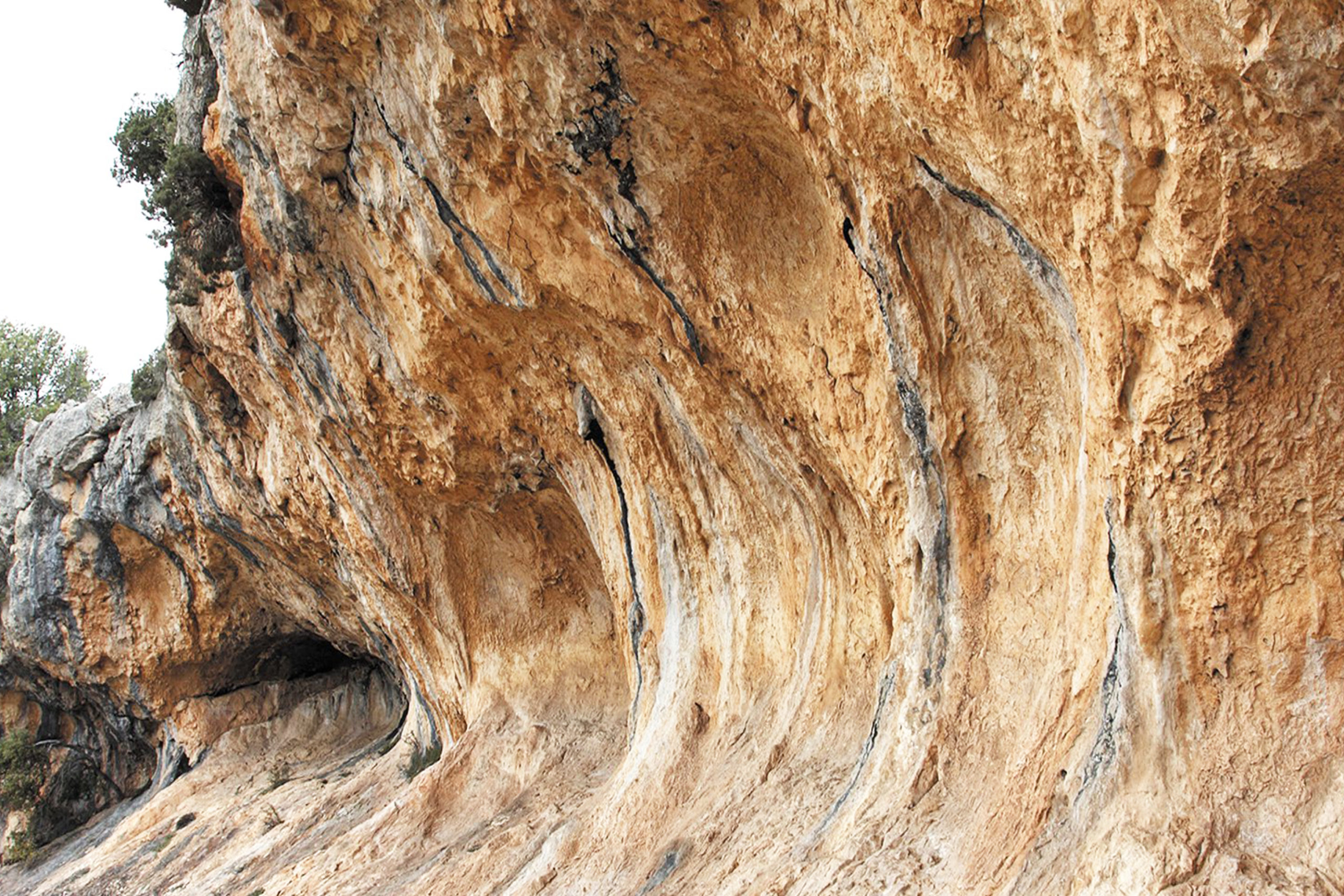 Tornen les visites guiades a La Sarga - El Nostre Ciutat
